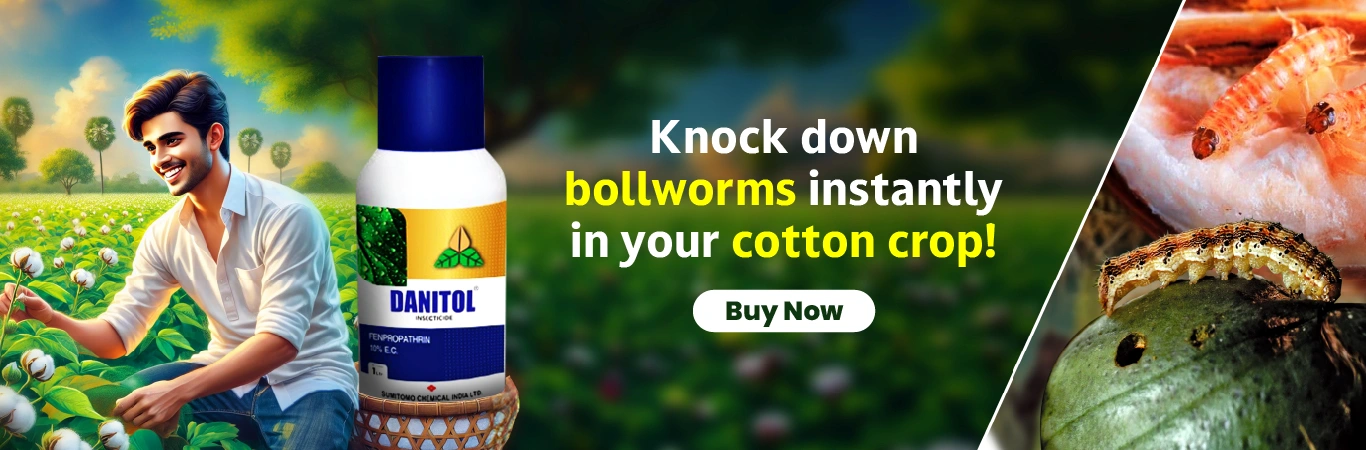 Agriculture Products Online | Buy Agricultural Products Online